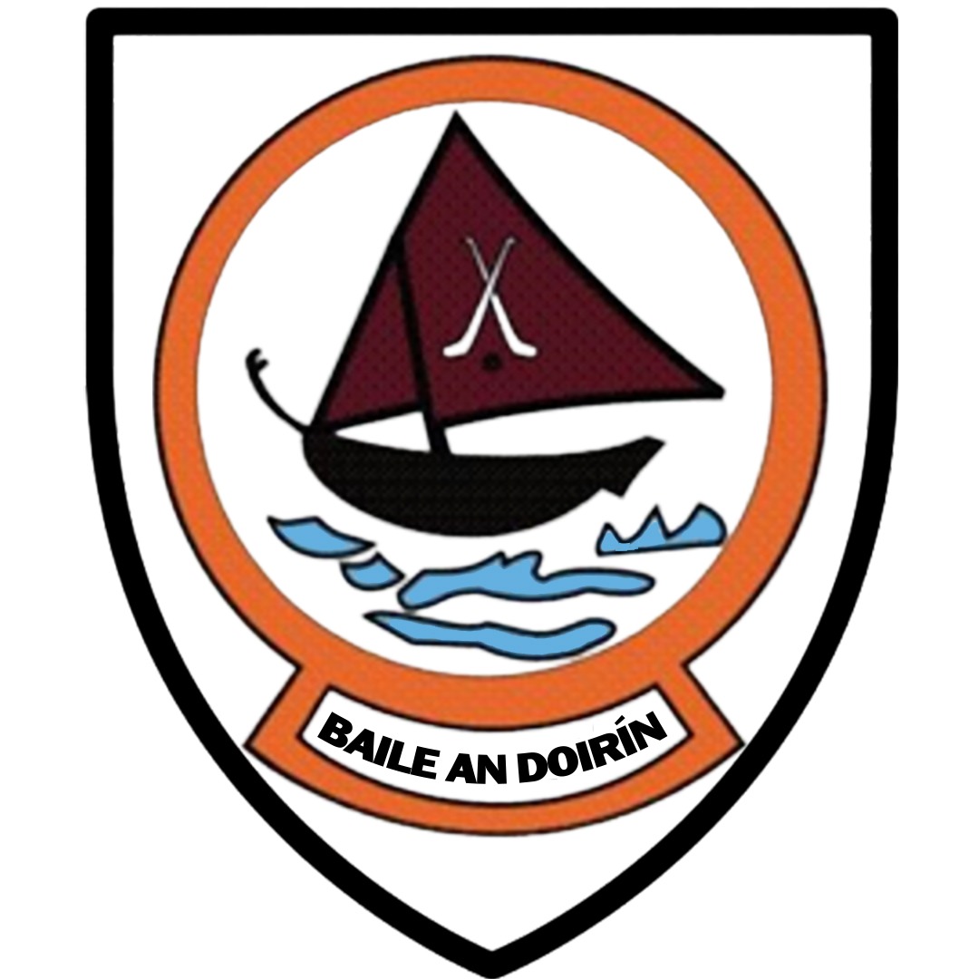 Facilities – Ballinderreen Hurling & Camogie